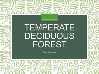 Temperate deciduous forest | PPTX