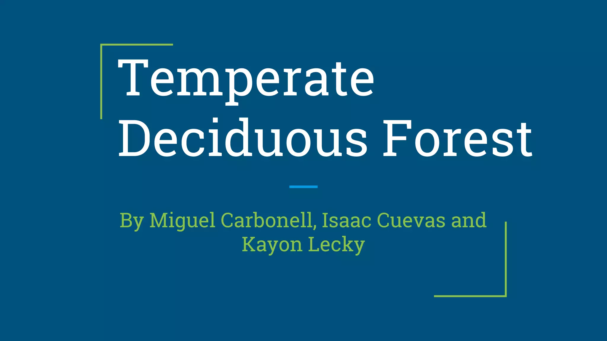 Temperate deciduous forest PERIOD 3 | PPT