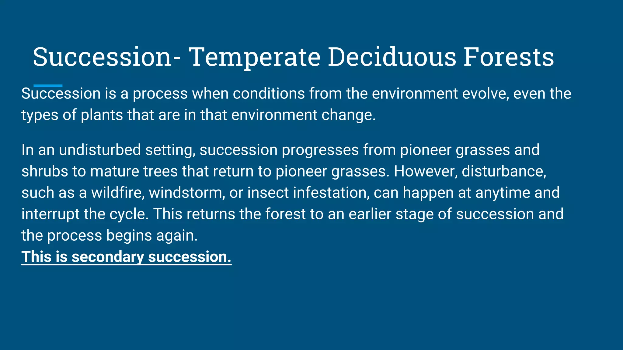 Temperate deciduous forest PERIOD 3 | PPT