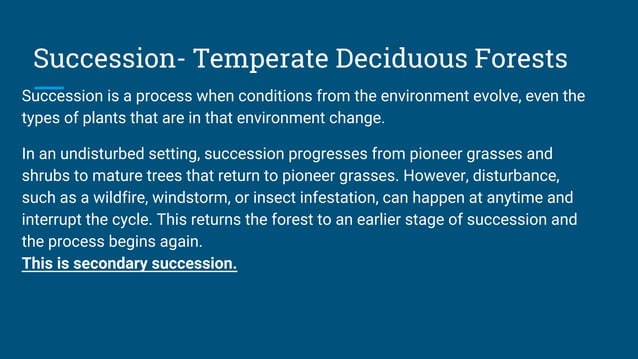 Temperate deciduous forest PERIOD 3 | PPT