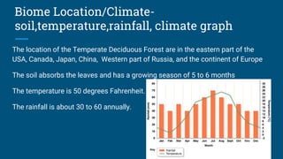 Temperate deciduous forest PERIOD 3 | PPT