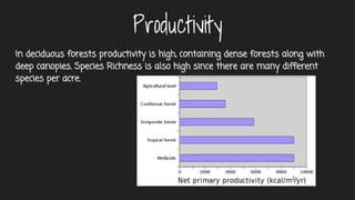 Temperate deciduous forest PERIOD 4 | PPT