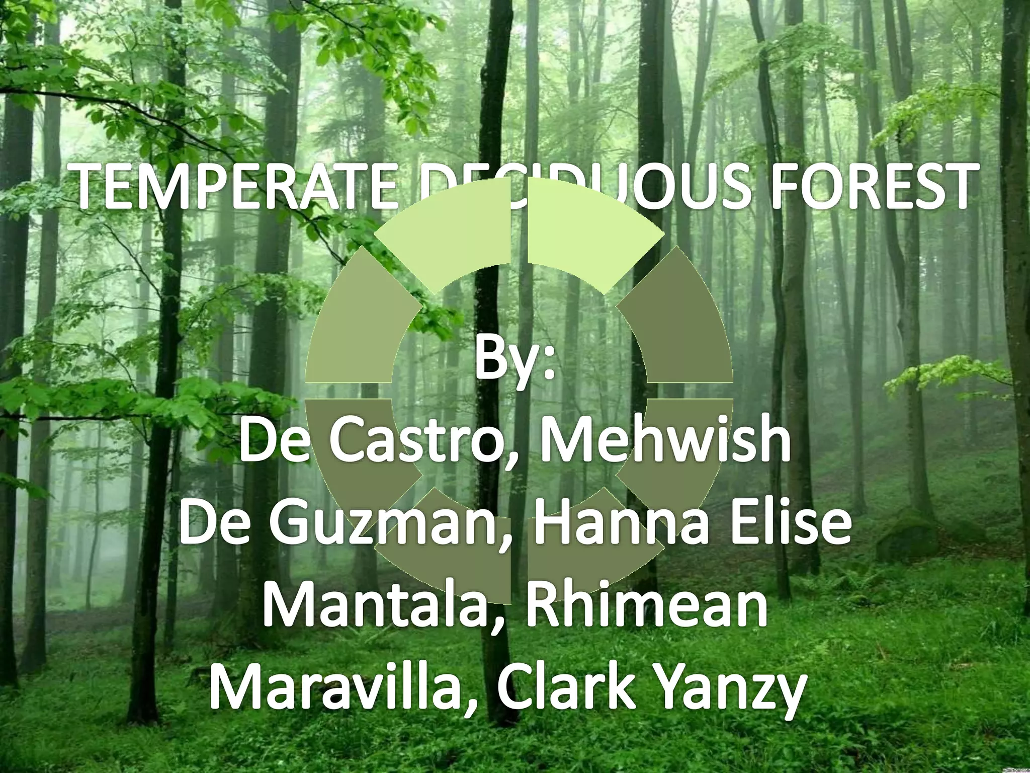 Temperate deciduous forest biome | PPTX | Geography | Science