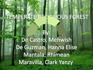 Temperate deciduous forest biome | PPTX | Geography | Science
