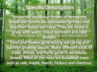 Temperate deciduous forest biome | PPTX | Geography | Science