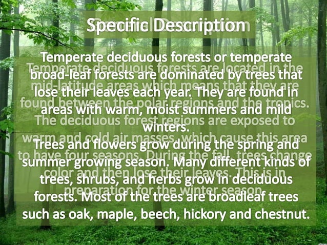 Temperate deciduous forest biome | PPTX | Geography | Science