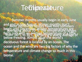 Temperate deciduous forest biome | PPTX | Geography | Science