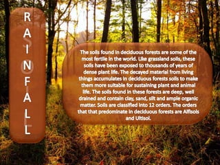 Temperate deciduous forest biome | PPTX | Geography | Science