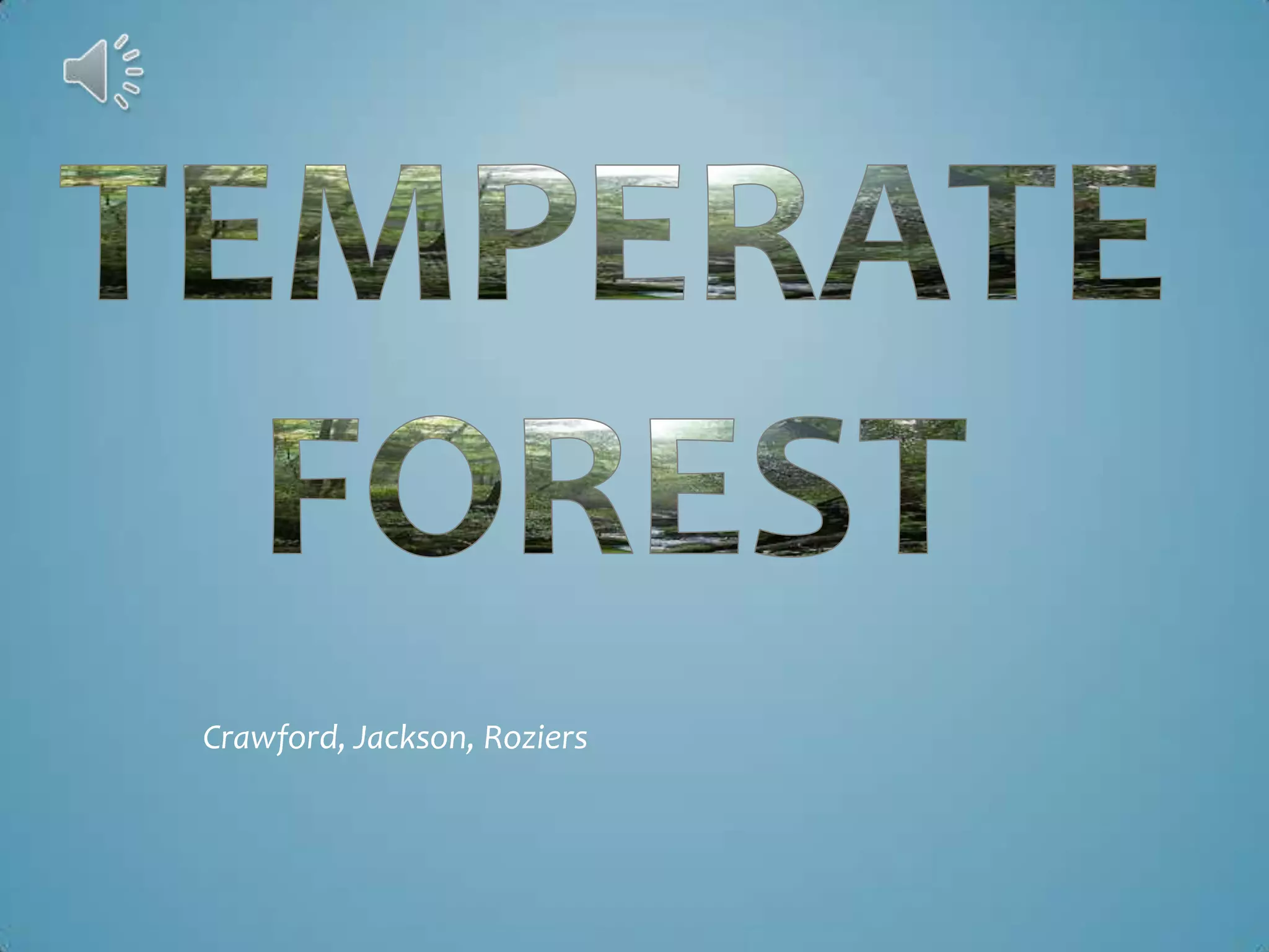 Temperate forest | PPTX