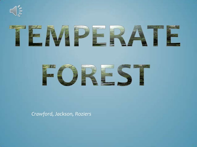 Temperate forest | PPT