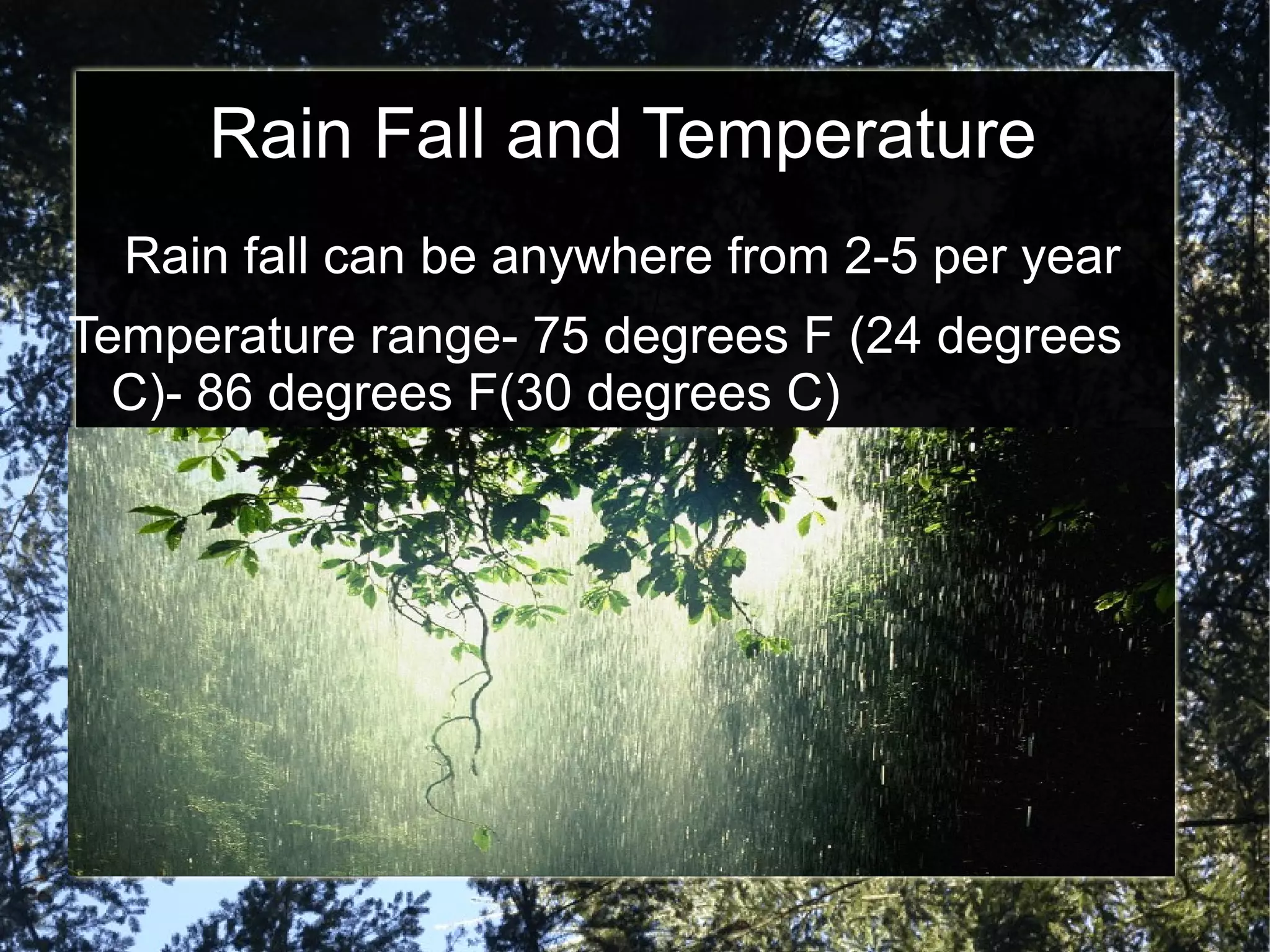 Temperate forests Rock | ODP