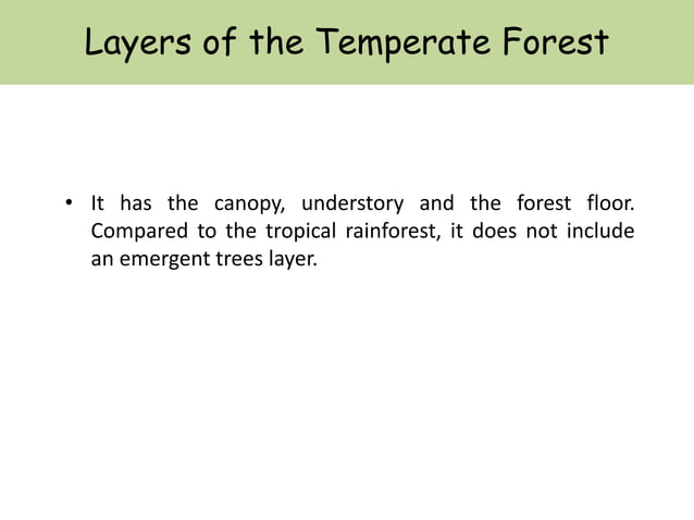 TEMPERATE FORESTS | PPTX | Geography | Science