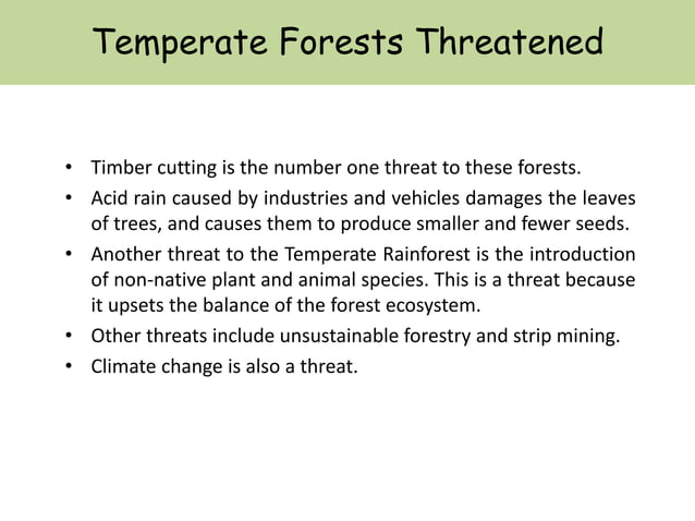 TEMPERATE FORESTS | PPTX | Geography | Science