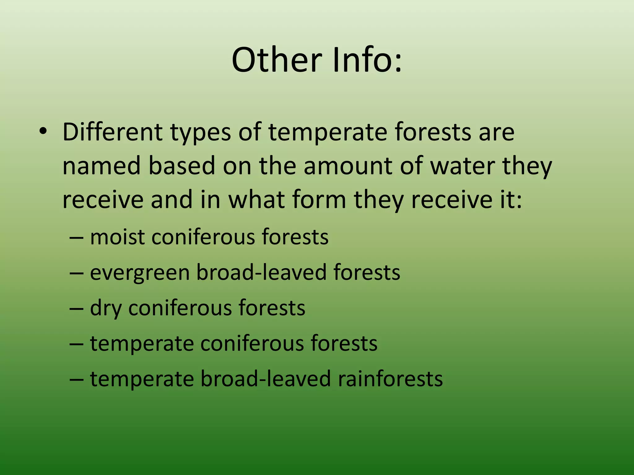 Temperate Forest Power Point | PPTX