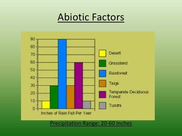 Temperate Forest Power Point