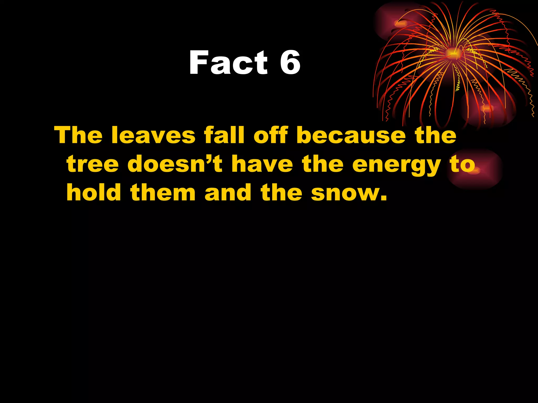 Temperate Forests | PPT