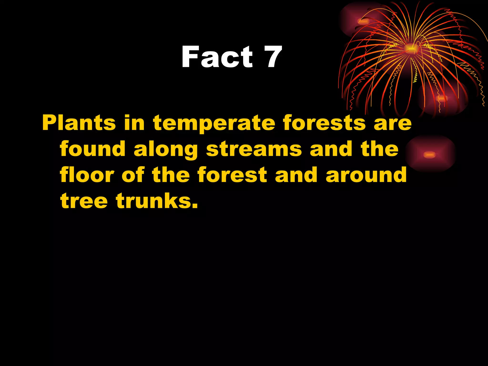 Temperate Forests | PPT