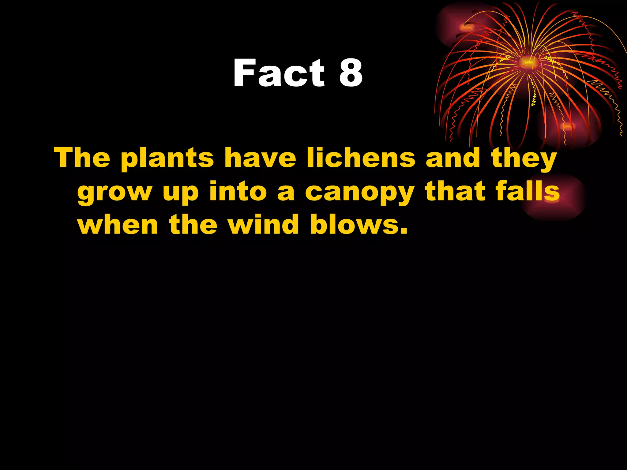 Temperate Forests | PPT