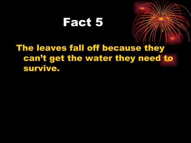 Temperate Forests | PPT