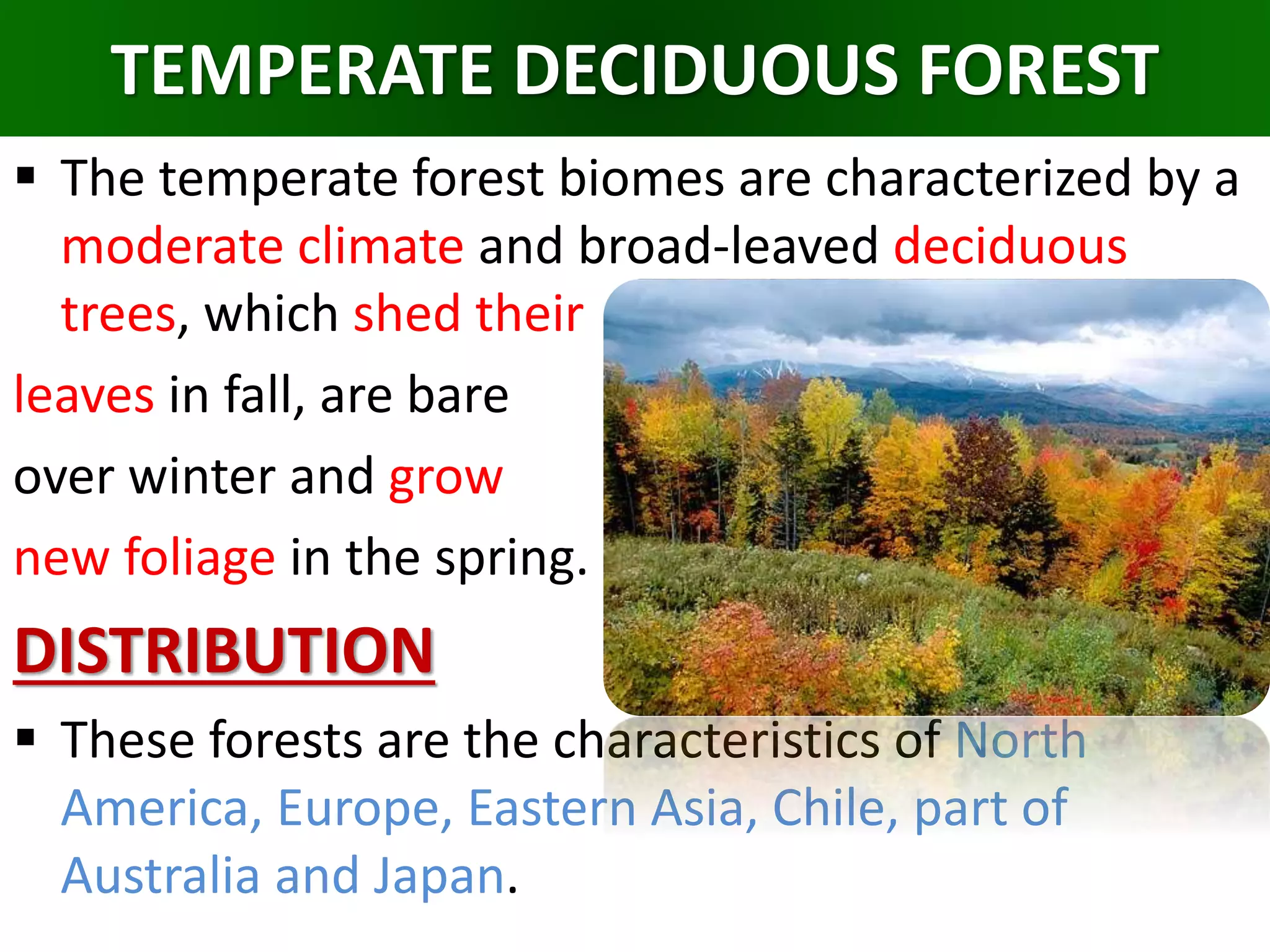 Temperate forests and tropical rain forests | PPTX