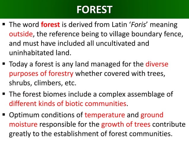 Temperate forests and tropical rain forests | PPTX