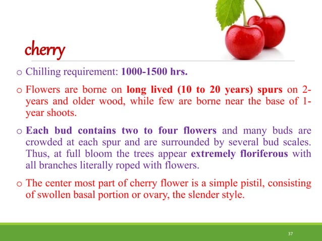 floral biology of temperate fruit crop | PPTX
