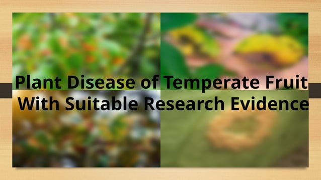 Plant Disease of Temperate Fruit With Suitable Research Evidence.pptx