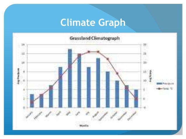 Temperate Grassland Period 3
