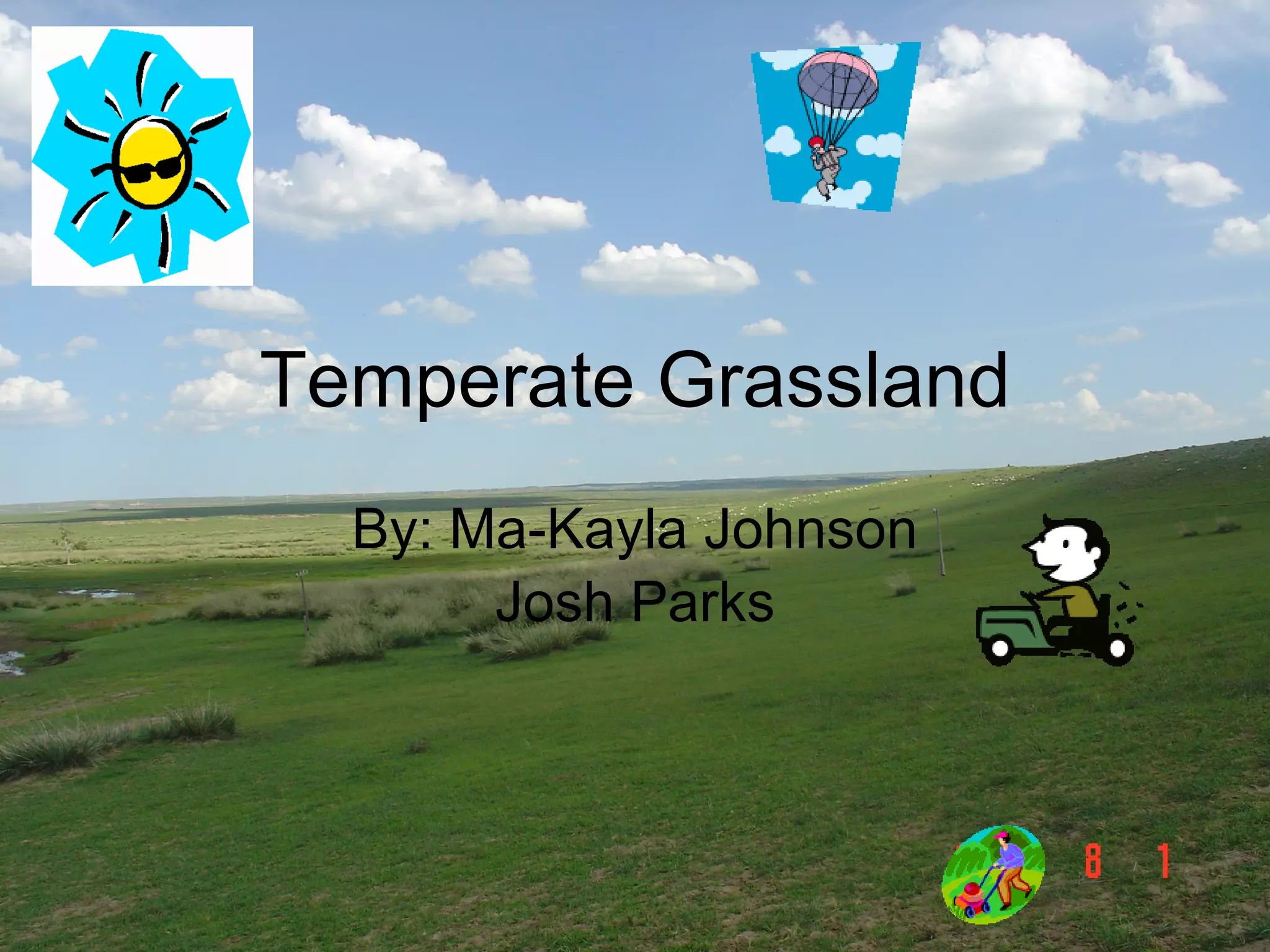 Temperate Grassland Makayla Ppt
