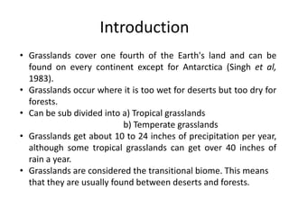 Temperate grasslands | PPTX