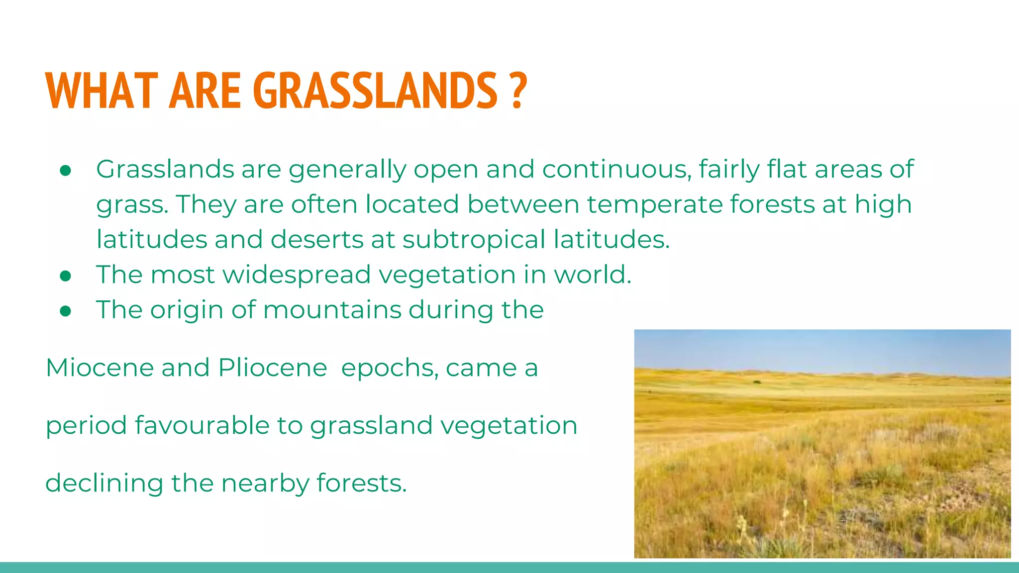 Temperate grasslands | PPTX
