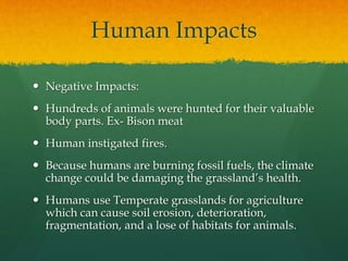Temperate grasslands PERIOD 5 | PPTX