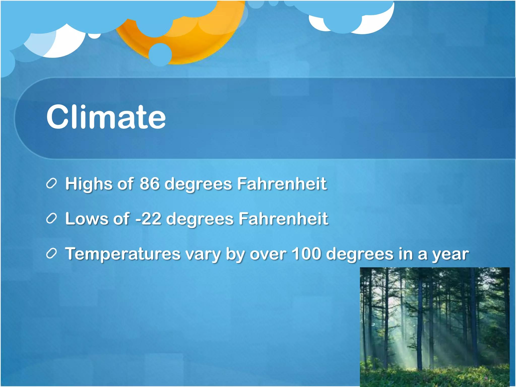 Temperate rain forest | PPTX