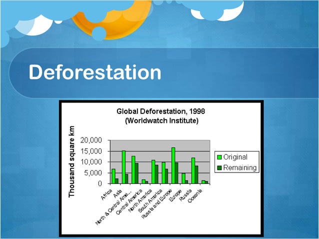Temperate rain forest | PPTX