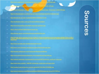 Temperate rain forest | PPTX