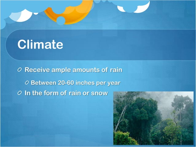 Temperate rain forest | PPTX