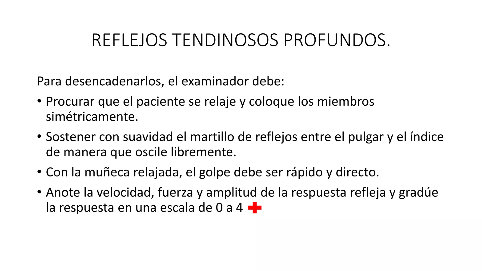 Reflejos sensitivos y reflejos tendinosos profundos. | PPTX