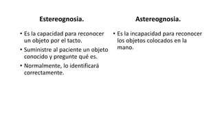 Reflejos sensitivos y reflejos tendinosos profundos. | PPTX