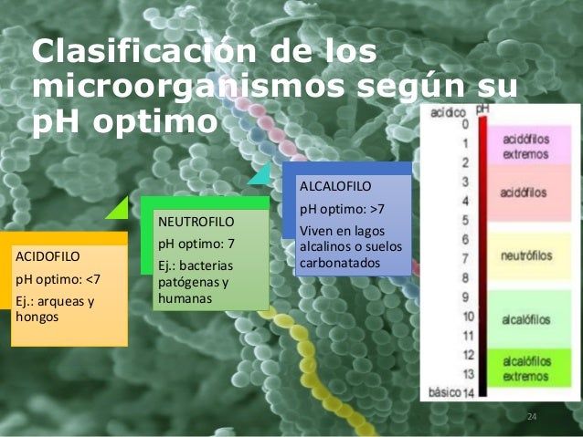 efecto de la temperatura y ph sobre los microorganismos