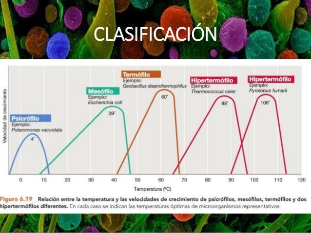 efecto de la temperatura y ph sobre los microorganismos