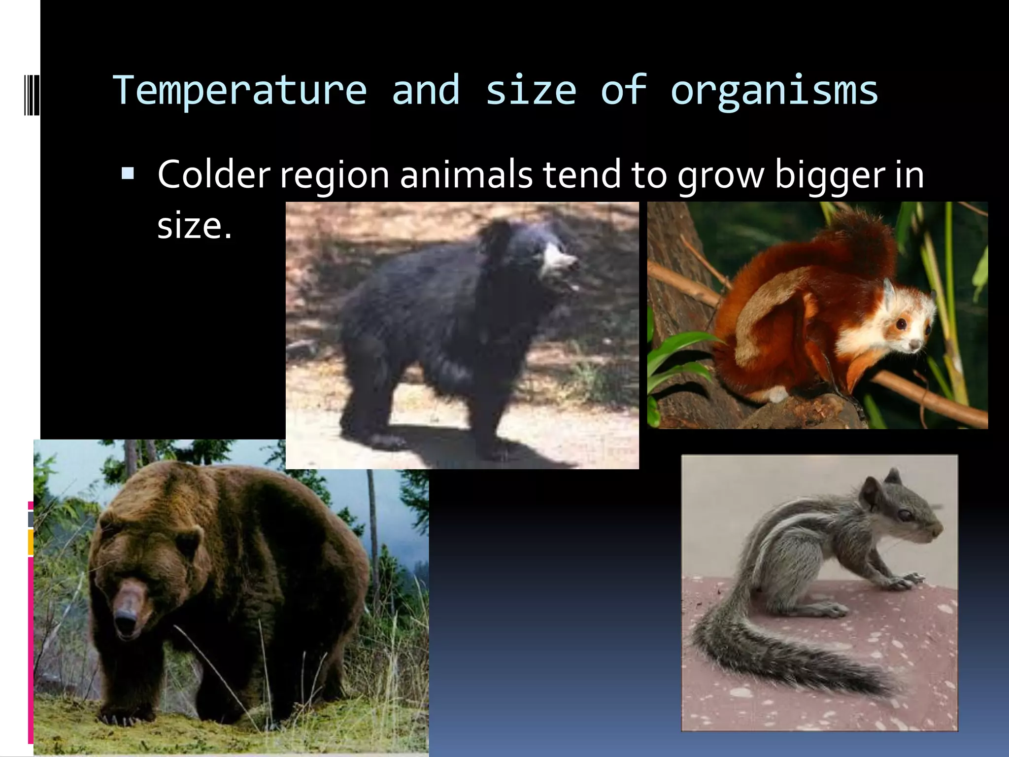 Temperature: Ecological Parameter | PDF | Geography | Science