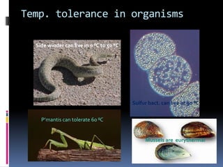 Temperature: Ecological Parameter | PDF | Geography | Science