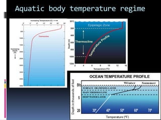 Temperature: Ecological Parameter | PDF
