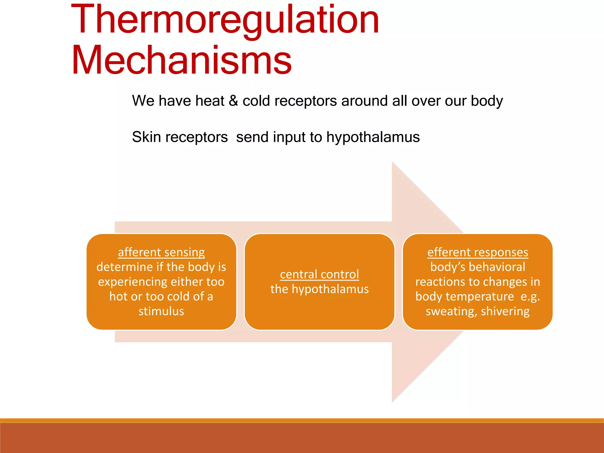 Body Functions :Temperature | PPTX