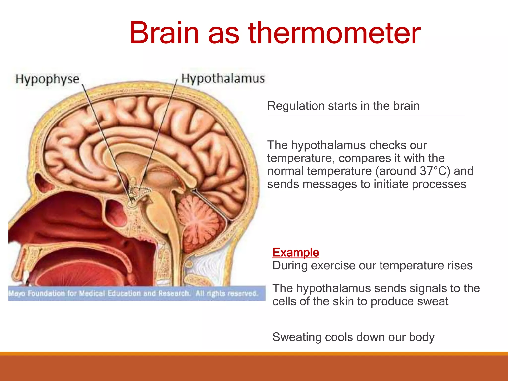 Body Functions :Temperature | PPTX