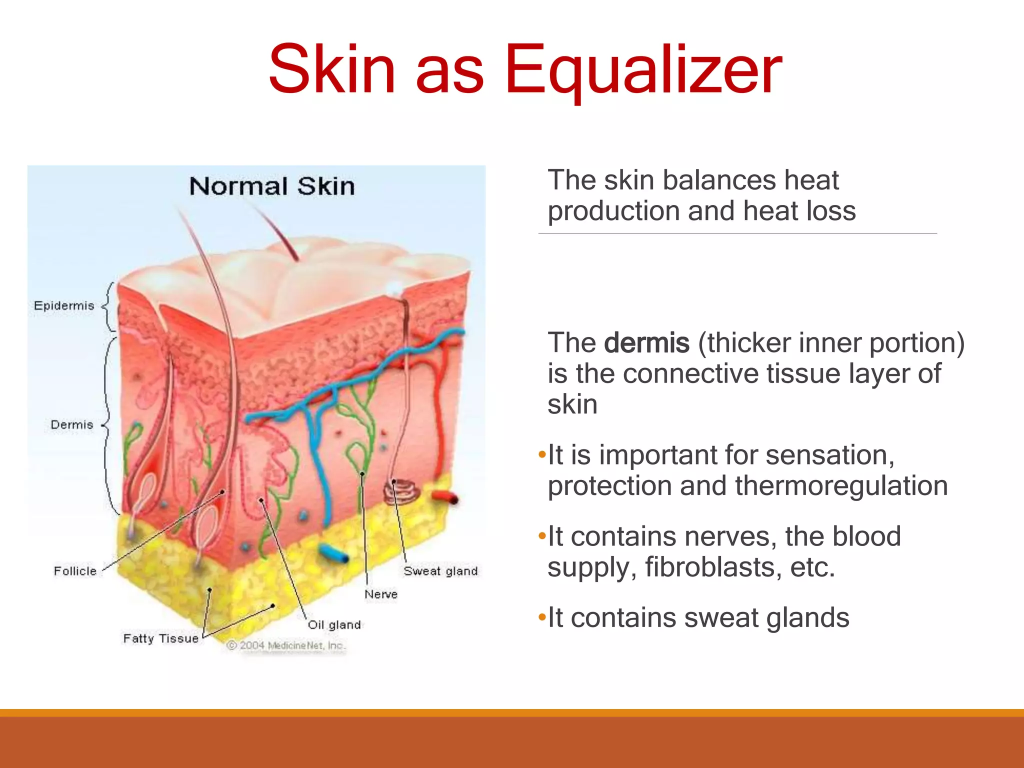 Body Functions :Temperature | PPTX