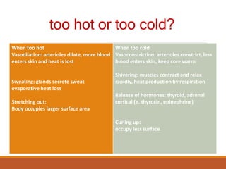 Body Functions :Temperature | PPTX
