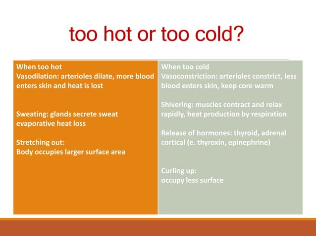 Body Functions :Temperature | PPT