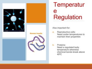 Body Functions :Temperature | PPTX