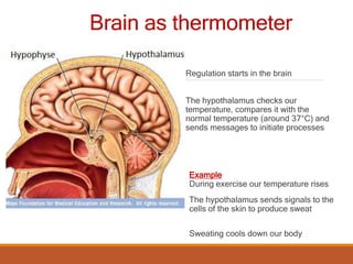 Body Functions :Temperature | PPTX